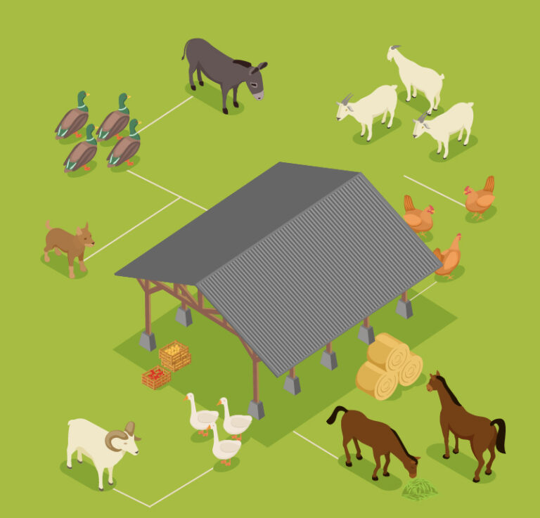 Pole Barn Storage for Your RV and Livestock | Matador